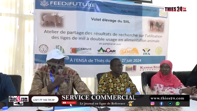 Vidéo/Atelier de partage des résultats sur l'utilisation des tiges de ...